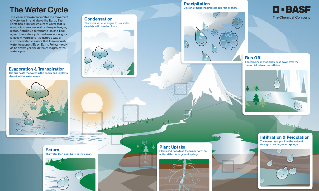 BASF - OTTO Brand Lab